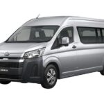 Puerto Plata Private VIP Transportation from Airport to Hotel - Who Is This Service Best For?