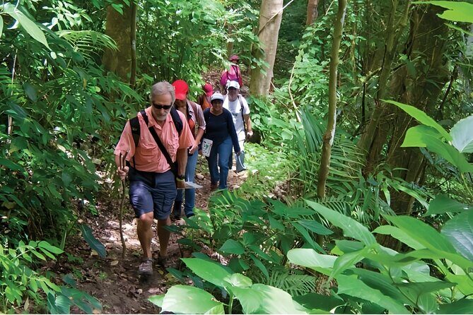 Puerto Plata Rejoya River Excursion Amber Cove Taino Bay Hotels - What to Expect on the Rejoya River Excursion