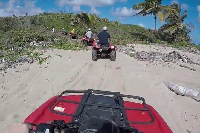 Puerto Plata Shore Excursion: ATV adventure for Amber Cove & Taino Bay Passenger - Cancellation and Flexibility