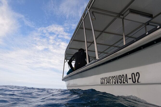 Puerto Plata Shore Excursion, Snorkeling tour & Sosua Beach Day - Reviewing the Value: Is It Worth It?