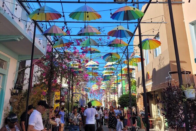 Puerto Plata Sightseeing and Zip Lines | Amber Cove & Taino Bay - Practical Details and Considerations