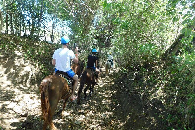 Puerto Plata Sightseeing & Horse Riding | Amber Cove & Taino Bay - A Genuine Dominican Meal and Refreshments