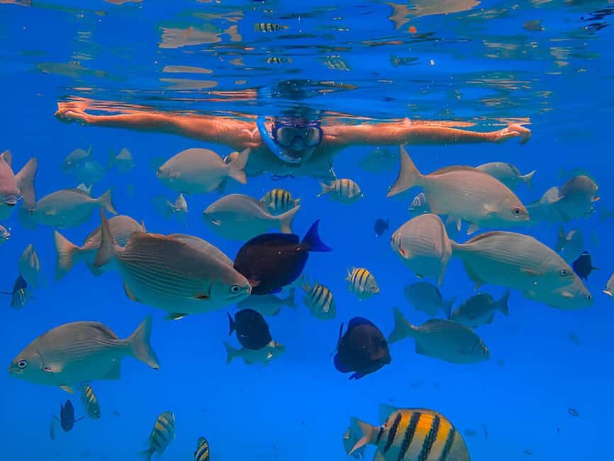 Puerto Plata: Snorkeling Excursion to Sosúa beach - What You Can Expect from the Tour