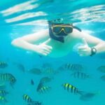 Puerto Plata: Sosúa Bay Snorkeling Tour with Transfers - Why This Tour Offers Good Value