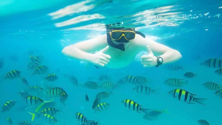 Puerto Plata: Sosúa Bay Snorkeling Tour with Transfers - Why This Tour Offers Good Value