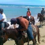 Puerto Plata: Sunset Beach Horseback Riding - The Sum Up