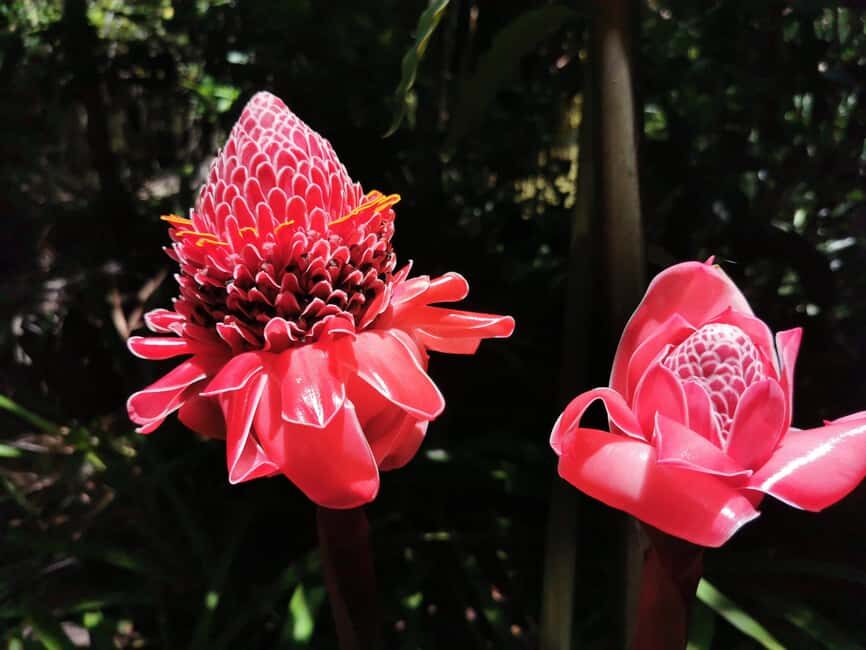 Puerto Plata: Taino Valley and Dominican Flavor Experience - Learning About Local Products