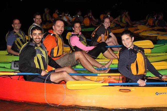 Puerto Rico Bio Bay Kayak Adventure Tour - The Value and Who Should Consider This Tour