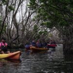 Puerto Rico Sunset Magic: Bio Bay Kayaking Tour from Fajardo - Navigating the Itinerary: What to Expect Step by Step