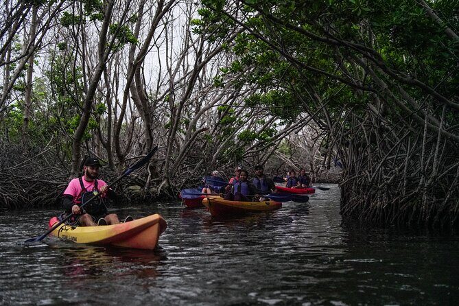 Puerto Rico Sunset Magic: Bio Bay Kayaking Tour from Fajardo - Navigating the Itinerary: What to Expect Step by Step