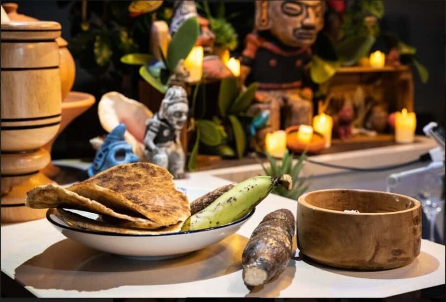 PUNTA CANA: 3-Course Dominican Tasting Menu - What to Expect