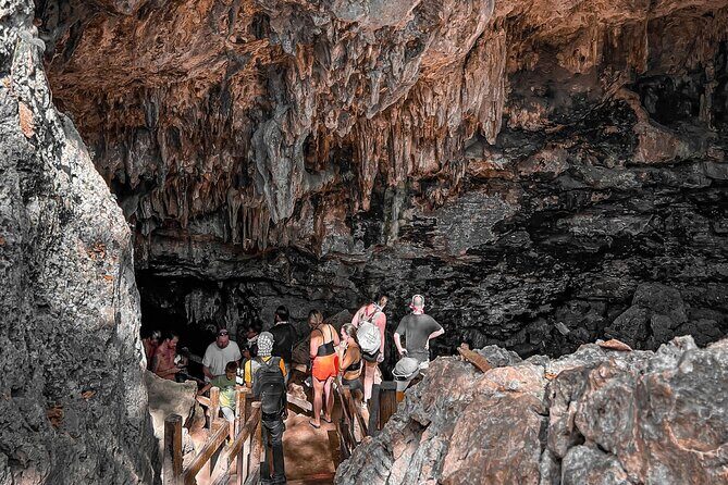 Punta Cana 4x4 Buggy Adventure 2024 - The Differences Between Buggy and Polaris Options