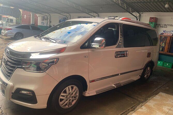 Punta Cana Airport Rides - Who Is This Service Best For?