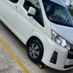 Punta Cana Airport Transfer Uvero Alto Van - Who Will Love This Service?