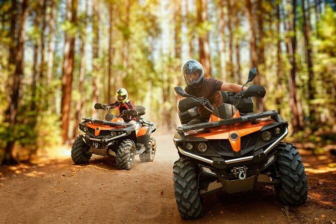 Punta Cana: Amazing ATV Adventure Private Road & Beach W/ PickUp - Authentic Experiences and Real-World Insights