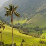 Punta Cana: Anamaya Mountains Walking Tour with Tasting - Who Will Love This Tour?