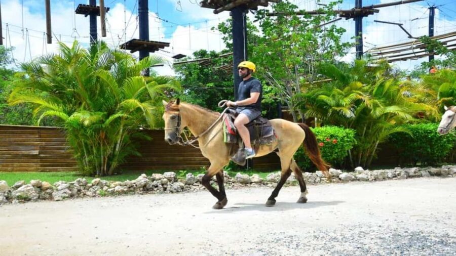 Punta Cana: Bavaro Adventure Park Full Access Ticket - What to Expect at the Park