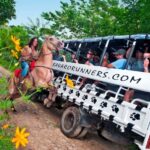 Punta Cana: Bavaro Runners Safari Tour - Practical Tips for Travelers