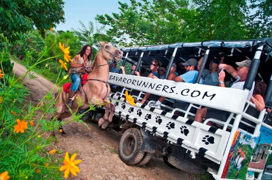 Punta Cana: Bavaro Runners Safari Tour - Practical Tips for Travelers