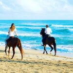 Punta Cana Beach Horseback Riding - Final Thoughts: Is It Right for You?