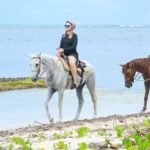 Punta Cana Beach Horseback Riding Tour - The Itinerary Breakdown