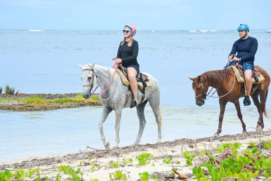 Punta Cana Beach Horseback Riding Tour - The Itinerary Breakdown