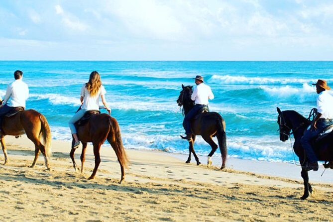 Punta Cana Beach Horseback Riding - Final Thoughts: Is It Right for You?