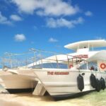 Punta Cana Boat Party Experience with Snorkeling & Natural Pool - Who Will Enjoy This Tour?