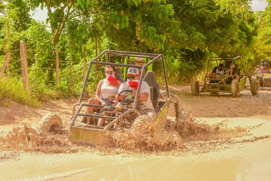 Punta Cana Buggies Through Fields and Beaches - Analyzing the Value