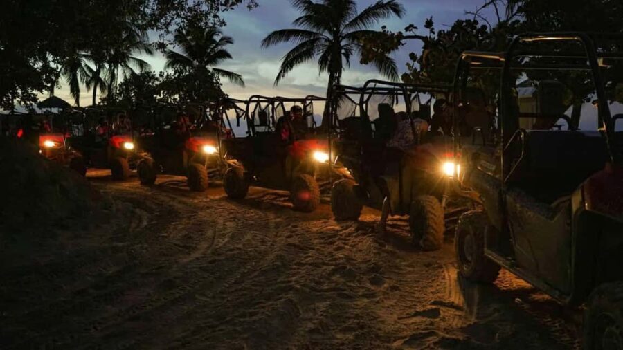 Punta Cana: Buggy Ride, Dinner and Taino Party - Detailed Breakdown of Each Stop