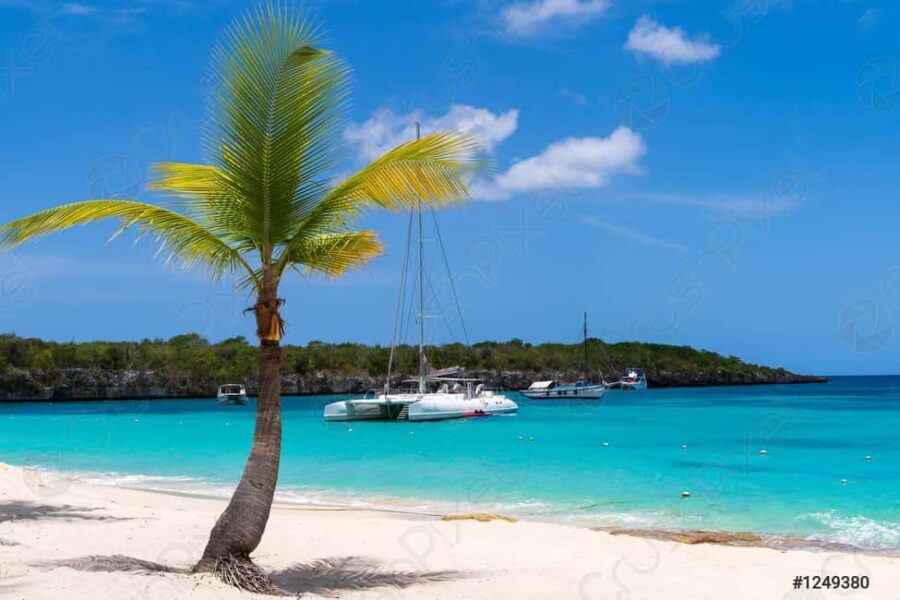 Punta Cana: Catalina Island Catamaran, Lunch and Snorkel - Who Would Enjoy This Tour?