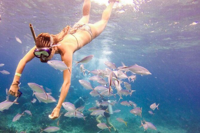 Punta Cana Catalina Island Catamaran Tour Package Deal - Authentic Feedback from Travelers