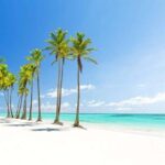 Punta Cana: Catalina Island Classic or VIP Sailing Tour - The Journey to Catalina Island: What You’ll See and Feel