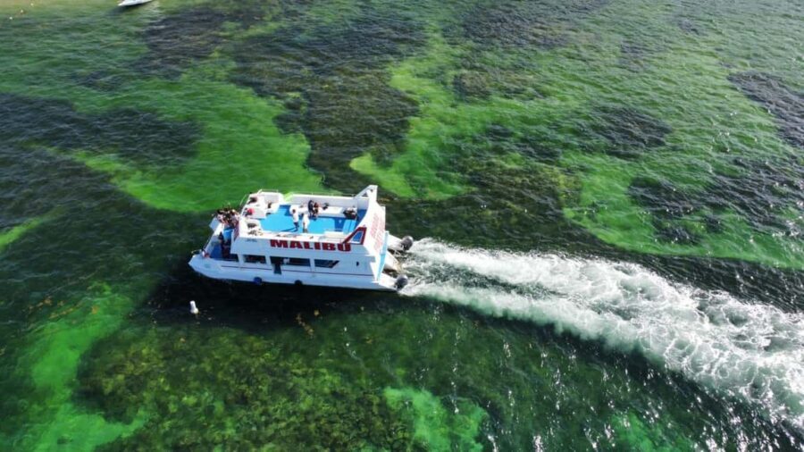 Punta Cana: Catalina Island Cruise with Lunch and Open Bar - The Sum Up