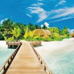 Punta Cana: Catalina Island Day Trip with Snorkeling - What Sets This Tour Apart?