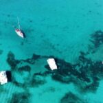 Punta Cana: Catalina Island Snorkeling Tour with Lunch - Who Should Consider This Tour?