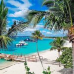 Punta Cana: Catalina Island Snorkeling Trip with Lunch - The Realities of the Experience: What You’ll Love and What to Watch For