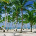 Punta Cana: Catamaran Boat to Saona Island with Buffet Lunch - Authentic Traveler Insights