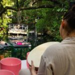 Punta Cana Cenote: Floating Sound Healing & Swim - What You Can Expect from the Tour
