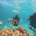 Punta Cana: Discover Scuba Diving Experience for Beginners - What You Can Expect at Each Stage