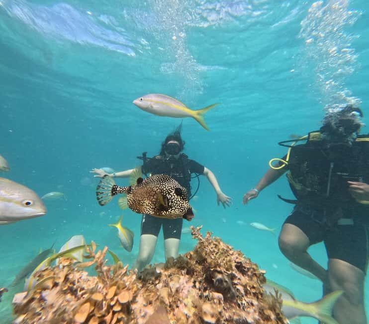 Punta Cana: Discover Scuba Diving Experience for Beginners - What You Can Expect at Each Stage