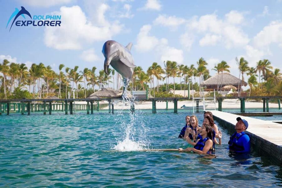 Punta Cana Dolphin Adventure: 40-Minute Interaction - Who Will Appreciate This Tour?