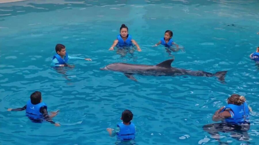 Punta Cana: Dolphin Discovery Park Tour with Hotel Transfers - Who Will Love This Tour?