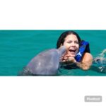 Punta Cana: Dolphin Explorer Park Entry, Swim, or Encounter - Key Points