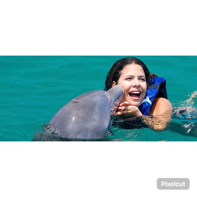 Punta Cana: Dolphin Explorer Park Entry, Swim, or Encounter - Key Points