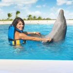 Punta Cana: Dolphin Interaction Experience & Hotel Transfers - Breaking Down the Tour: From Pickup to Return