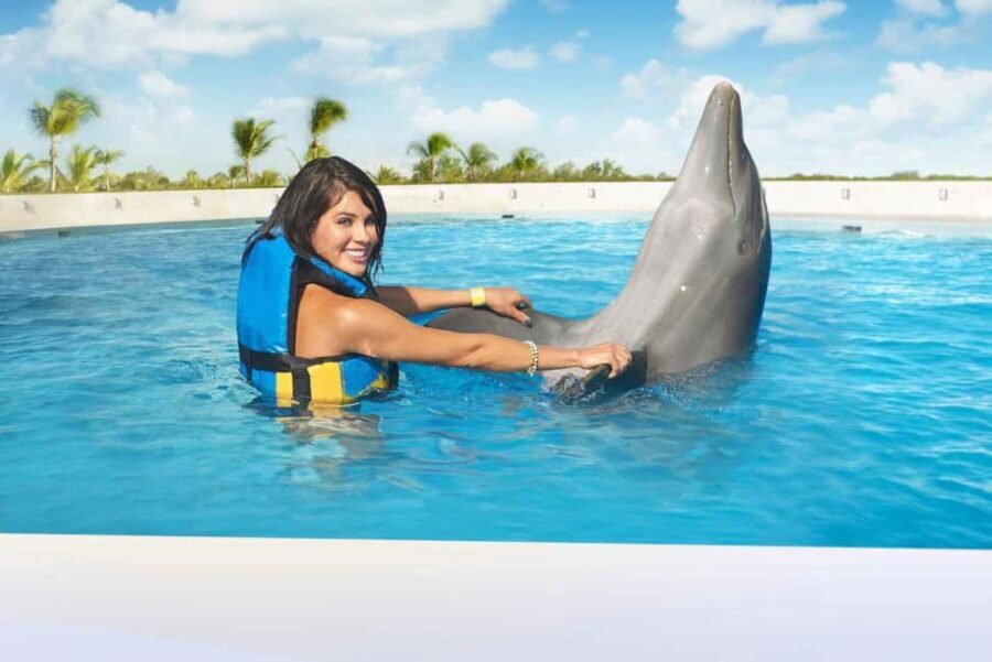 Punta Cana: Dolphin Interaction Experience & Hotel Transfers - Breaking Down the Tour: From Pickup to Return