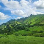 Punta Cana Dominican Republic Small Group Cultural Tour Safari - Who Will Love This Tour?