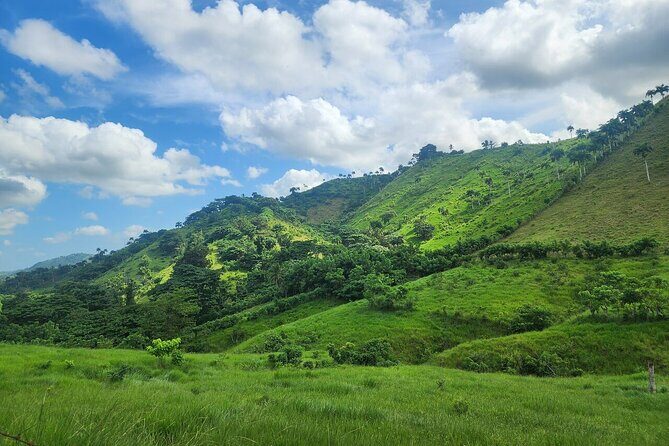 Punta Cana Dominican Republic Small Group Cultural Tour Safari - Who Will Love This Tour?