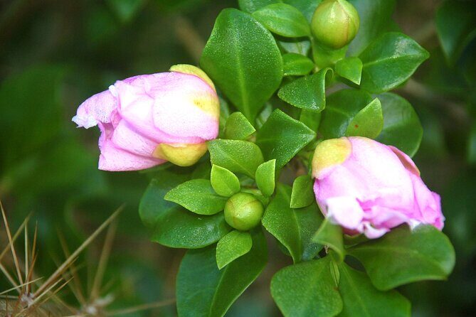 Punta Cana: Eco Jungle Tour - The Itinerary Breakdown